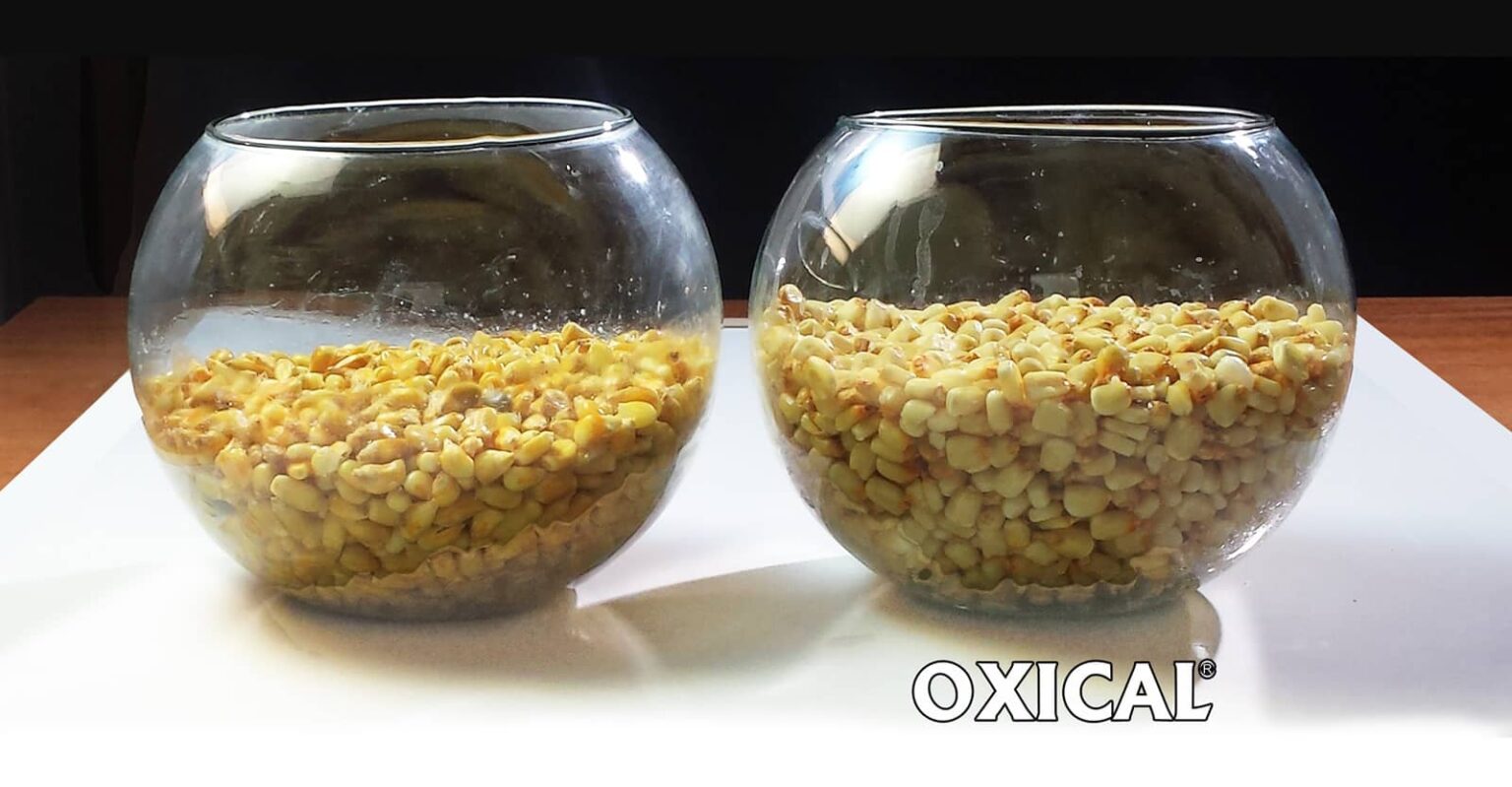 Oxical - Cal para nixtamal